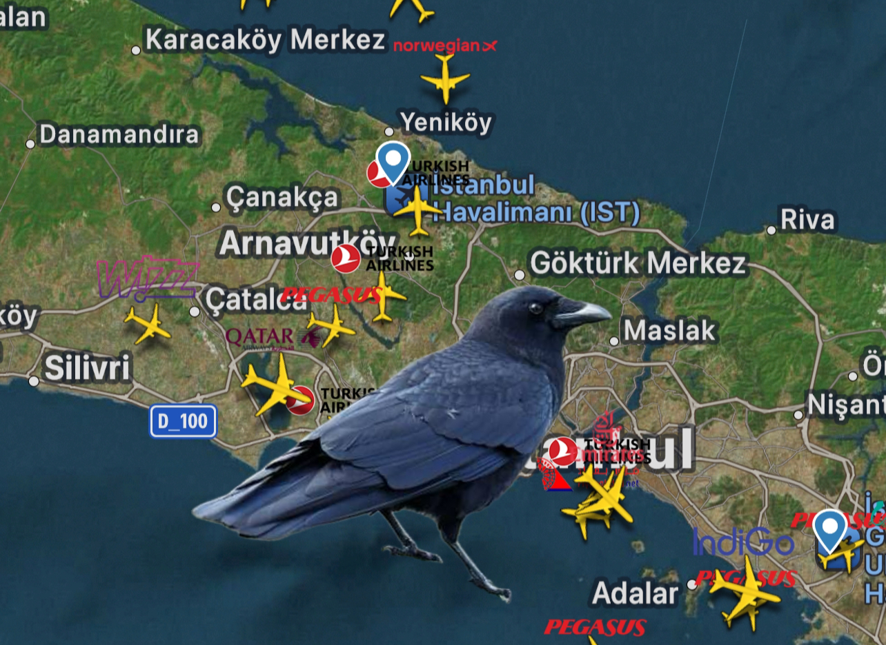 İstanbul Havalimanı’nı kullanan pilotlara karga uyarısı - Gökhan Artan ...